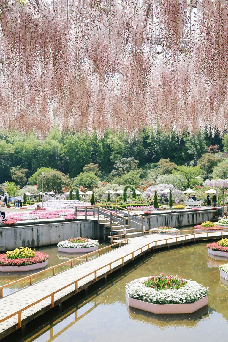 Ashikaga Flower Park - Someform